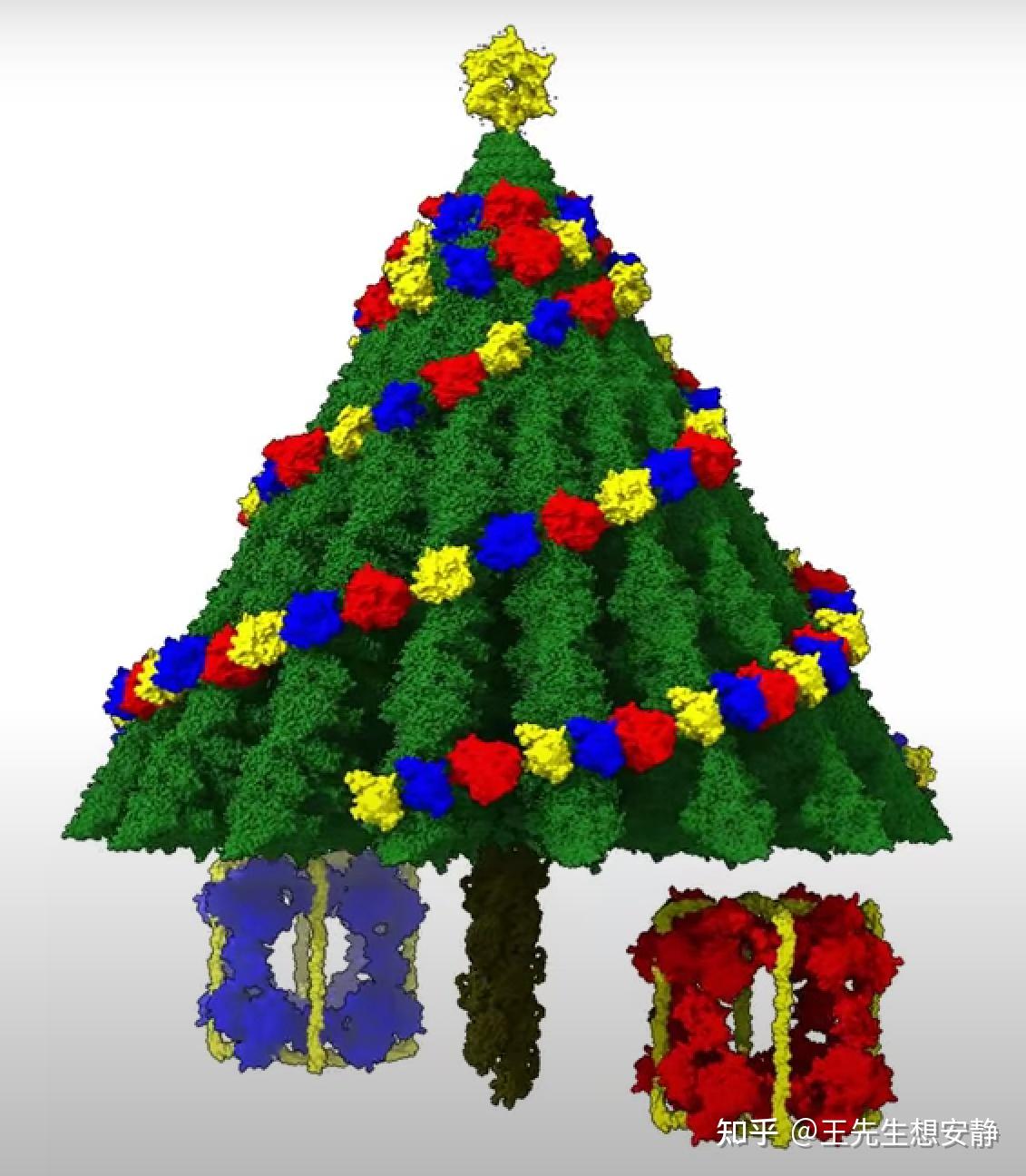 电镜从0到1之软件学习：ChimeraX - 知乎