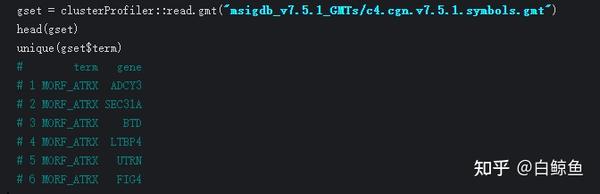 MsigDB基因集数据库 - 知乎