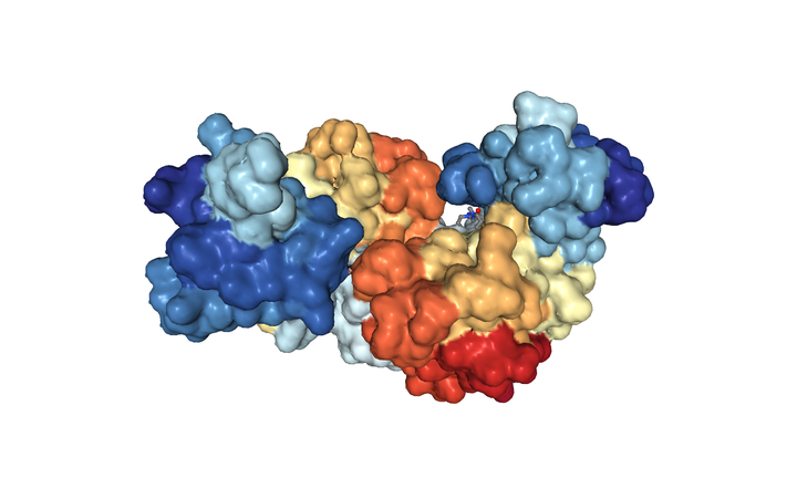 谈谈癌症治疗的新靶点：AXL - 知乎
