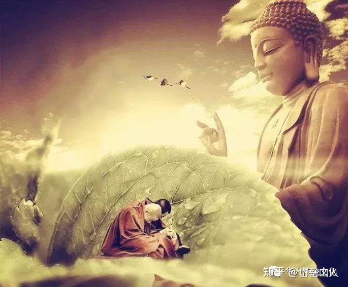 可怜之人必有可恨之处”背后的因果 知乎
