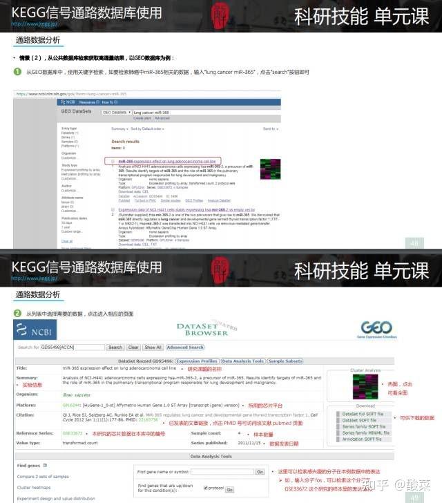手把手教你KEGG数据库如何熟练使用！ - 知乎