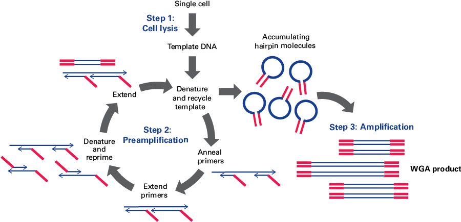 新品上市｜Takara一站式PGT-A研究解决方案 - 知乎