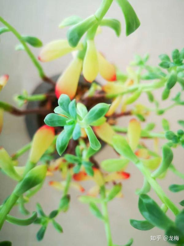 D64，5公里 - 知乎