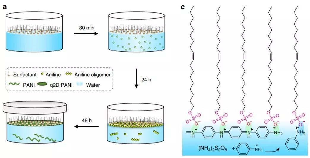 冯新亮团队大小NC齐发：聚焦二维聚合物晶体构筑新方法！ - 知乎