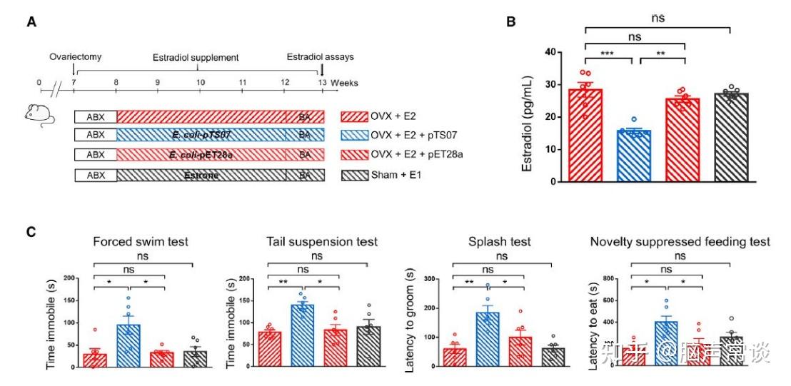 脑声常谈：CellPress---绝经期女性抑郁症的肠道菌群机制研究 - 知乎