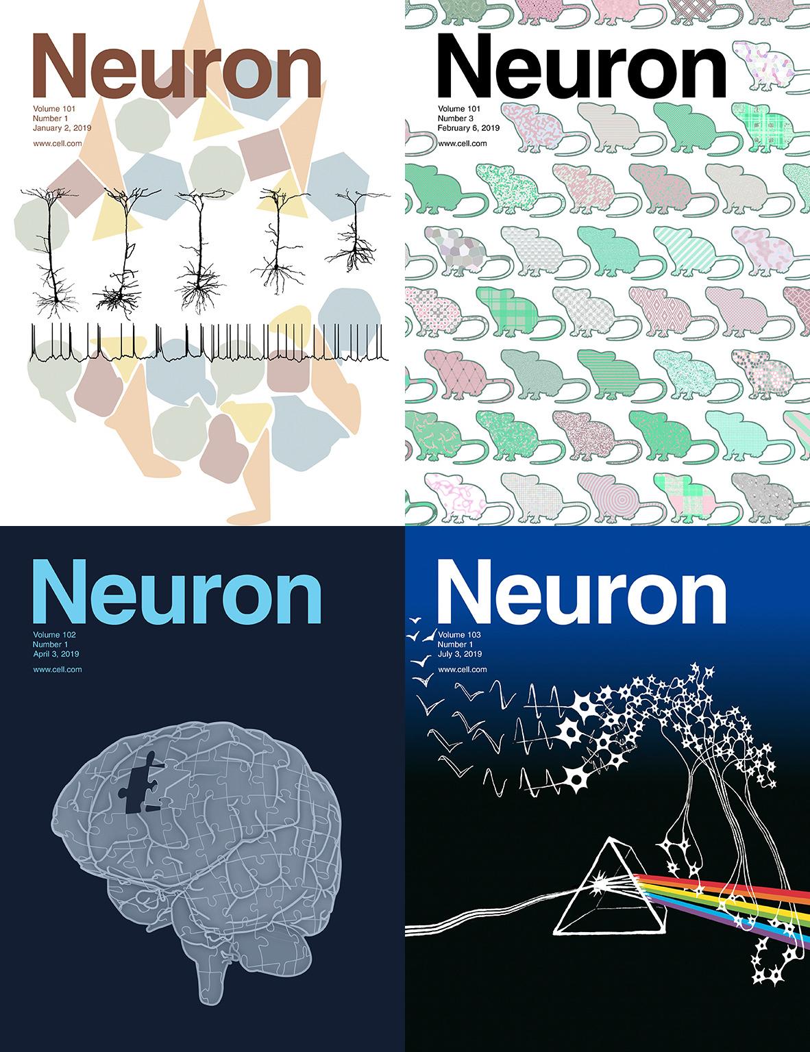 72张《Neuron》精美封面鉴赏丨2019~2021年上半篇 - 知乎