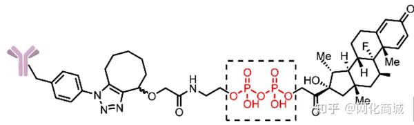 网化研选通用分子砌块系列——“连接子”（linker）类分子砌块 - 知乎