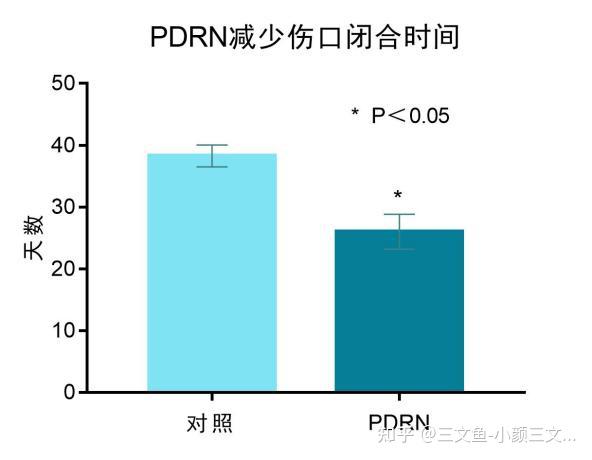 多聚脱氧核糖核酸（PDRN）的功效实验 - 知乎