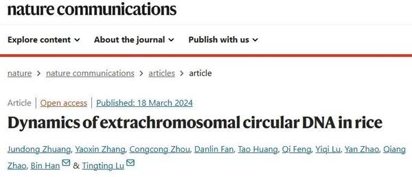 Nature Commun | 陆婷婷/韩斌院士团队在水稻染色体外环状DNA研究中取得重要进展 - 知乎