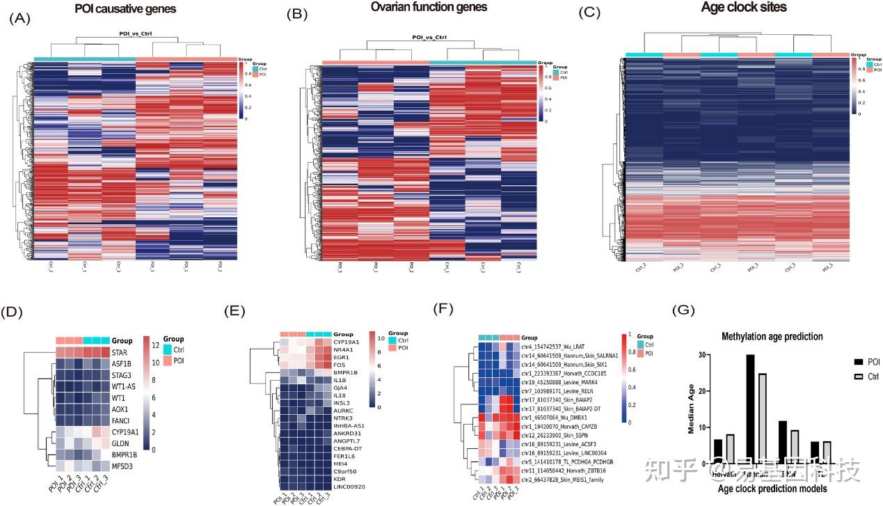 易基因：微量WGBS+ACE-seq揭示卵巢早衰的人卵丘细胞DNA甲基化与羟甲基化表观基因组图谱 - 深圳市易基因科技 - 博客园