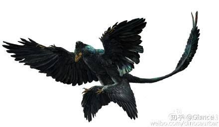 如果鸡的是恐龙的后代的话，它们保留了哪些恐龙时代的特征？ - 知乎