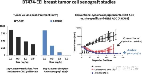 Ambrx 技术平台及ADC管线梳理 - 知乎