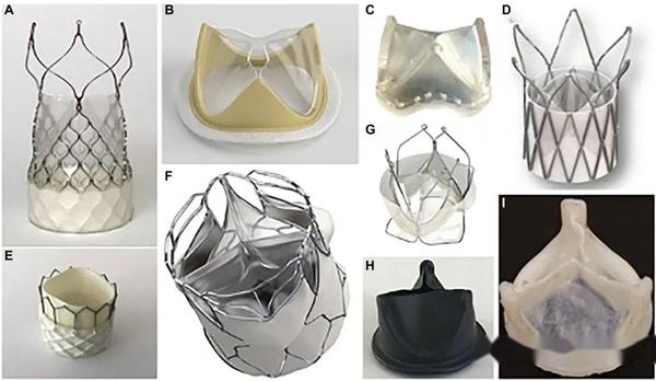 聚合物人工心脏瓣膜：当前技术与未来发展方向 - 知乎