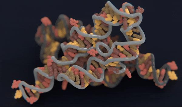 AI预测RNA结构，Science论文转化出一家新公司，打开药物研发新格局 - 知乎