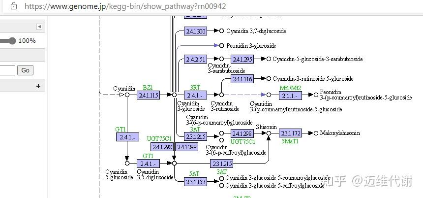 分享一个PPT+Excel绘制KEGG通路热图的方法 - 知乎