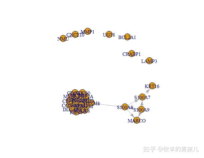 R语言可视化STRING分析的蛋白互作网络（PPI） - 知乎