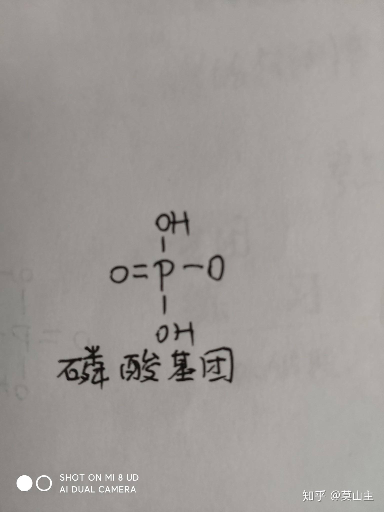 生物必修一分子与细胞 第二章组成细胞的分子 第三节遗传信息的携带者核酸 - 知乎