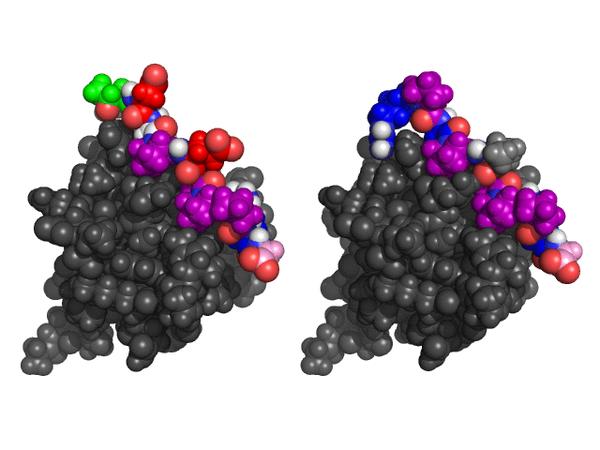 Rosetta_18_Rosetta高级脚本 - 知乎