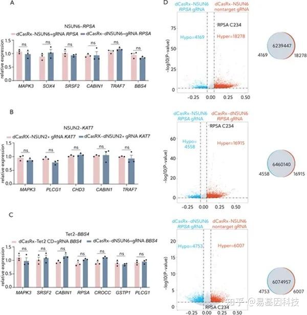 RNA甲基化修饰整体研究方案——m6A、m5C、m1A、m7G、ac4C、RNA与蛋白互作（RIP） - 知乎