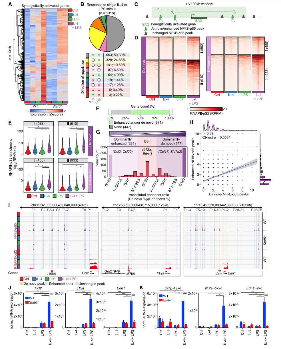 免疫学顶刊Immunity丨IL-4 极化巨噬细胞的表观遗传状态使对 TLR 配体的协同反应延长 - 知乎