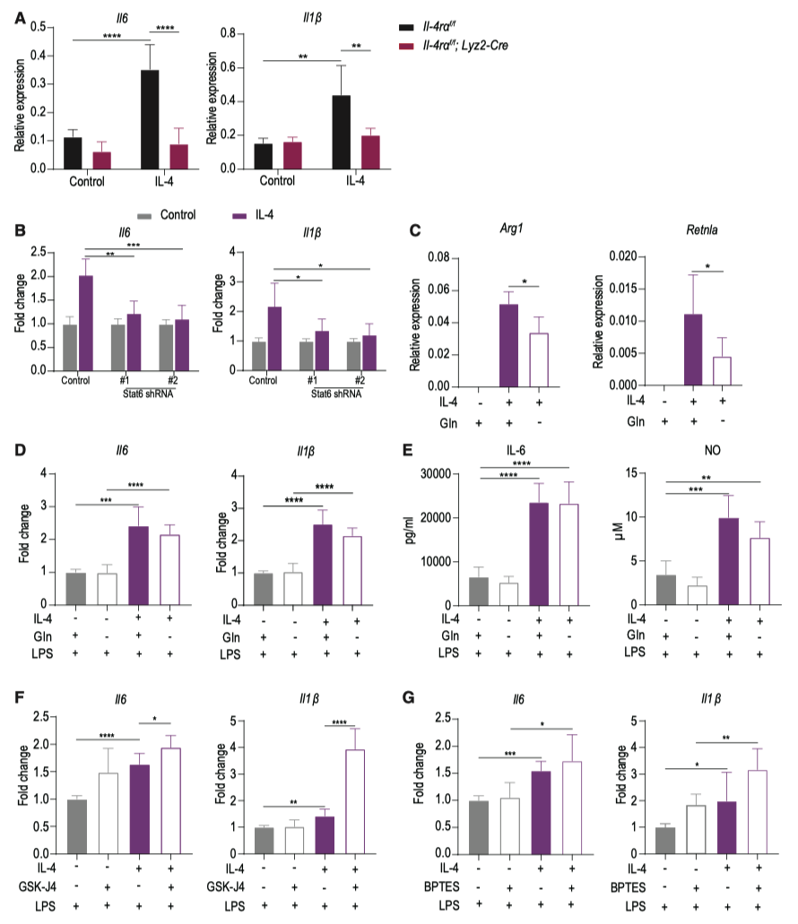Cell Reports丨糖酵解/HIF-1α 轴定义了 IL-4 训练的巨噬细胞的炎症反应 - 知乎
