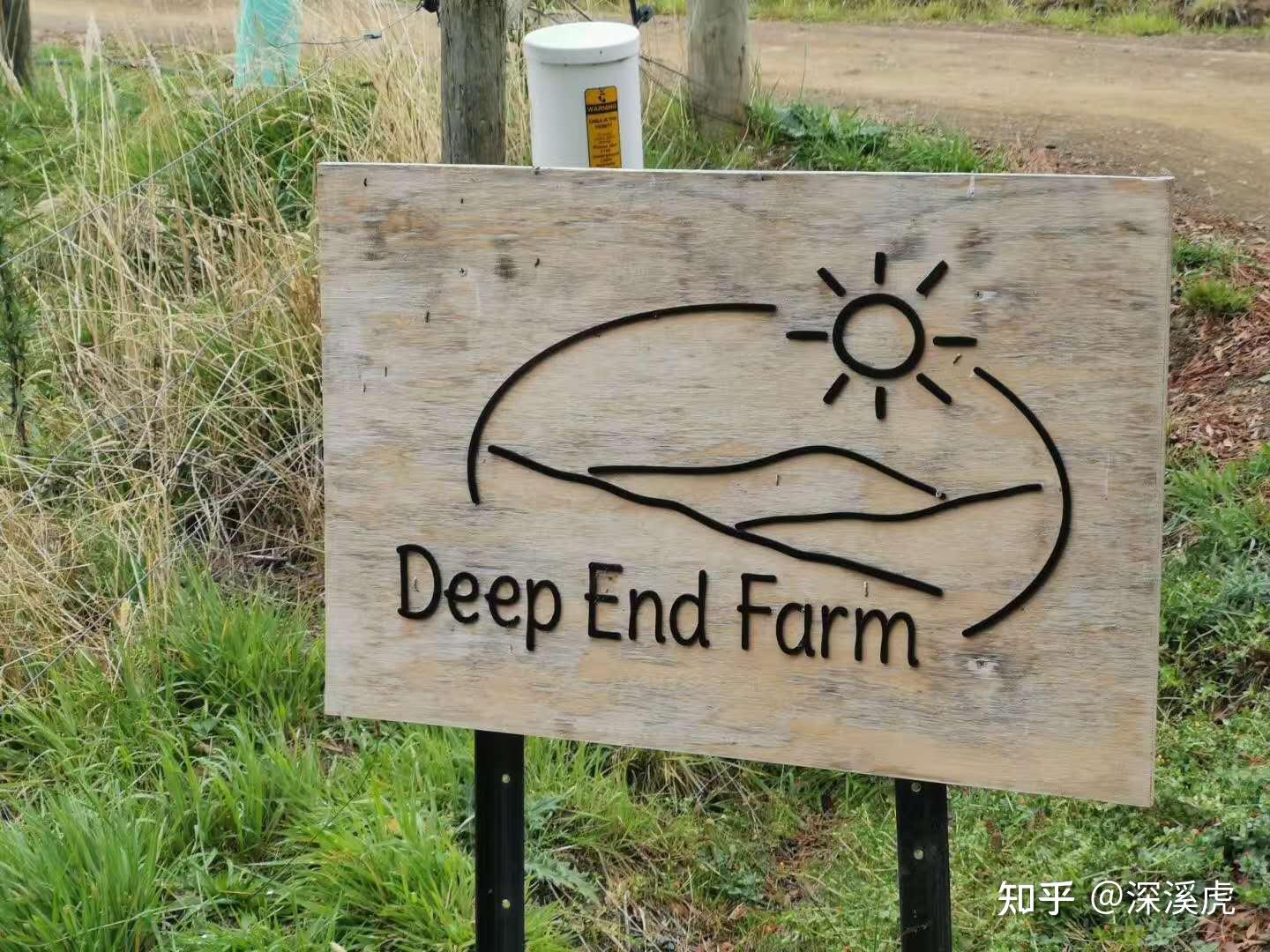 现实中的理想生活：DEEP END FARM - 知乎