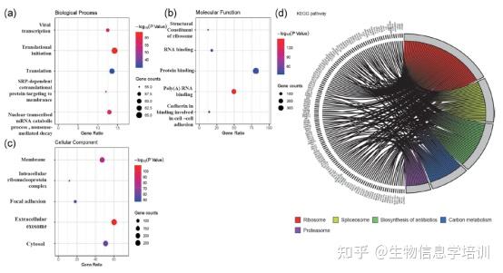 想要IF6+, meta分析联合生信分析就够了 - 知乎