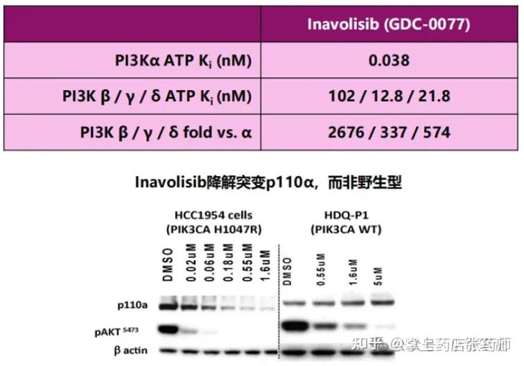 乳腺癌新一代精准靶向药物Inavolisib相比其他PI3K抑制剂有何优势？其他PI3K抑制剂有哪些？中国上市了吗？ - 知乎