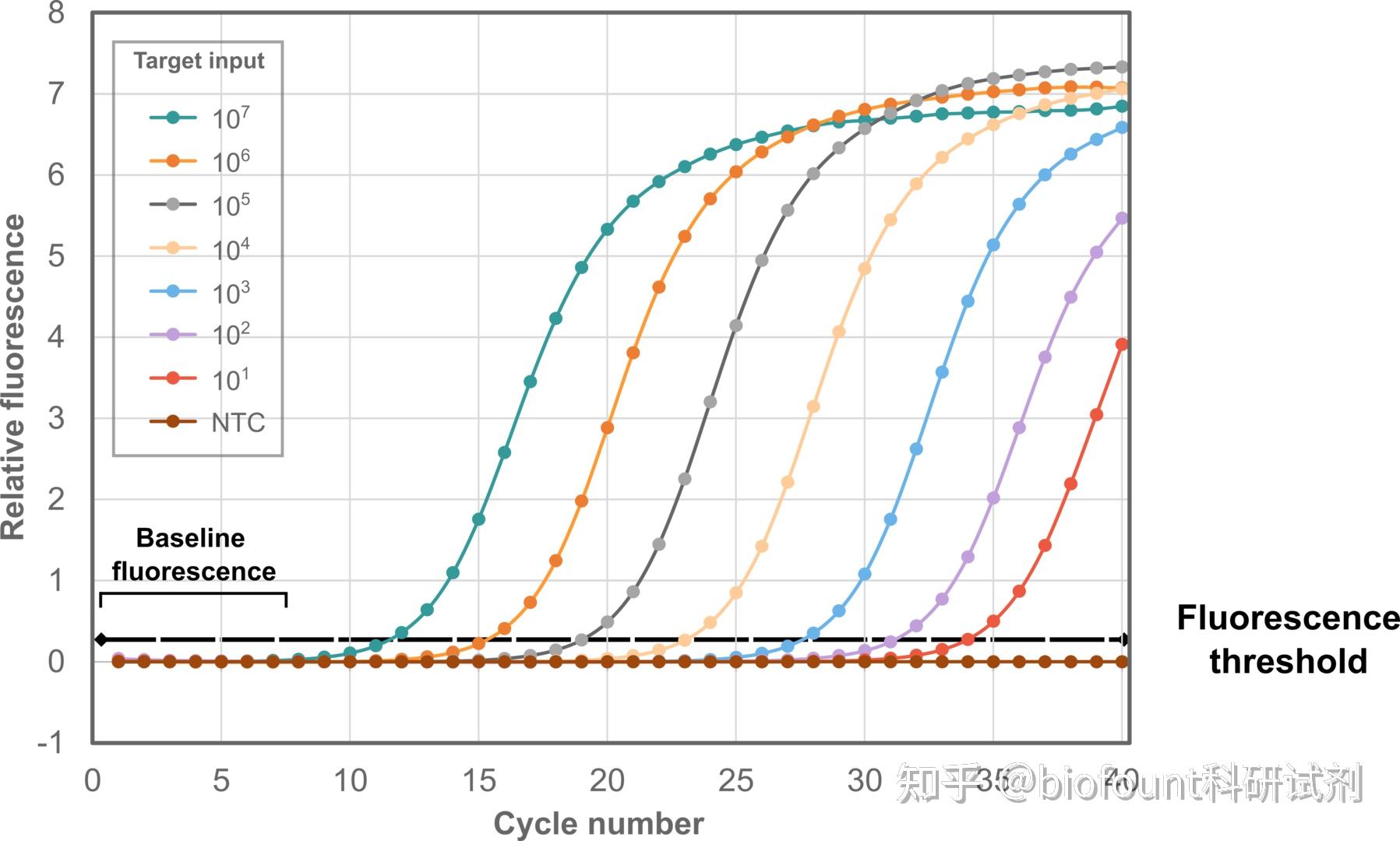 qPCR 检测的工作原理 - 知乎