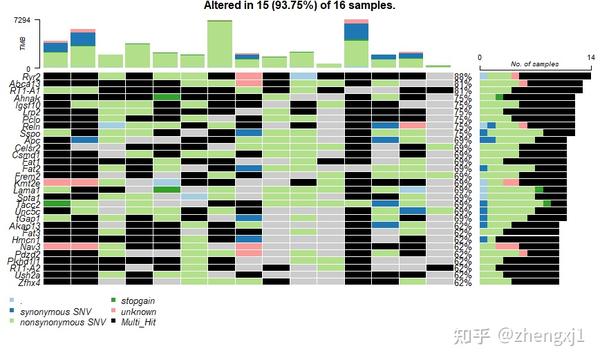 突变处理maf - 知乎