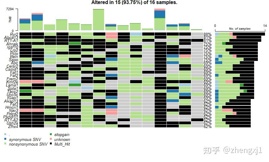 突变处理maf - 知乎