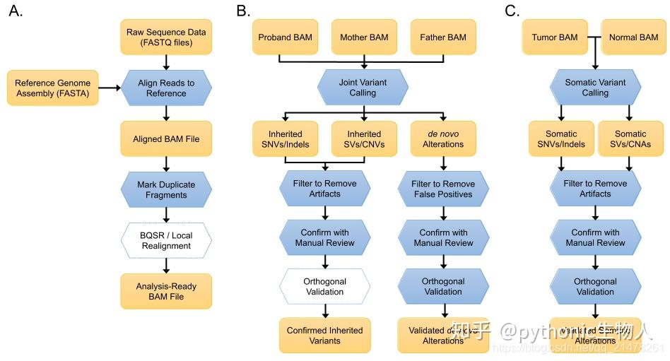 Omics精进01|临床WGS/WES/Gene Panel/Single gene异同 - 知乎