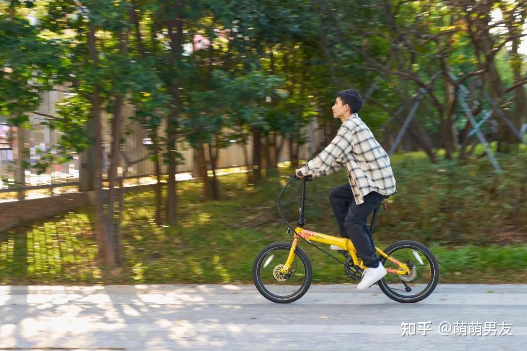 DAHON ARCHER PRO「S20」，速度与稳定并重，给你非凡驾驭之旅！ - 知乎