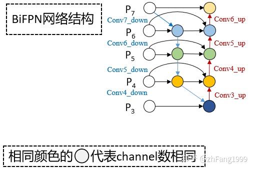 EfficientDet之Backbone结构解析（超详细版本） - 知乎