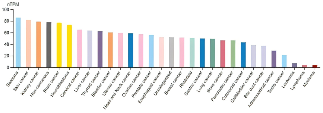 靶点B7-H3:从基础研究到临床转化的进展汇总 - 知乎