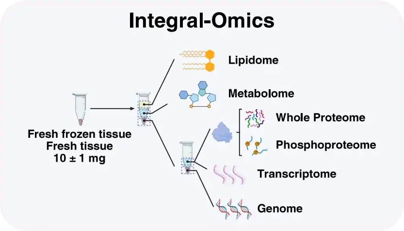 一管通！Integral-Omics：微小活检组织的六组学分析新方法 - 知乎