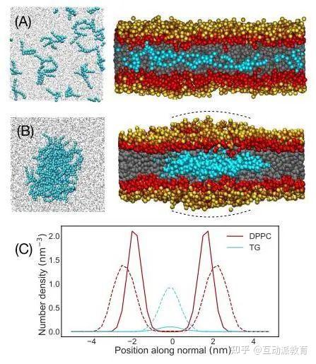 他在拓展一种很新的MD模拟方法 - 知乎