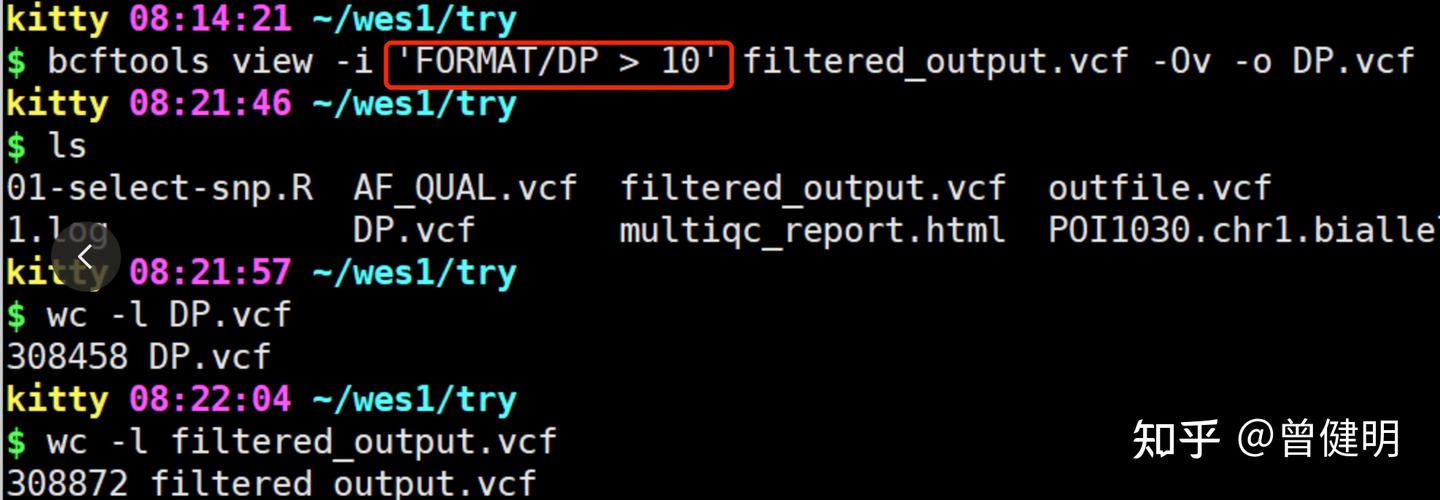 如何使用bcftools - 知乎