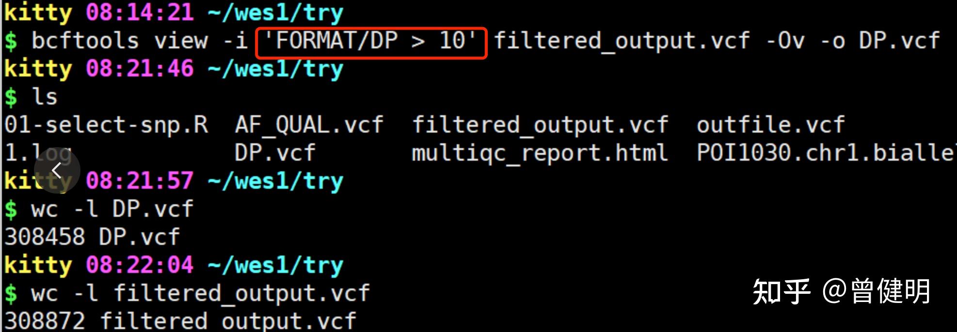 如何使用bcftools - 知乎