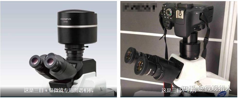显微基础丨④目镜、观察头以及摄影 - 知乎