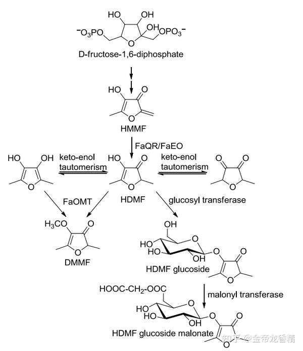 香精与香料(58)—呋喃酮 - 知乎