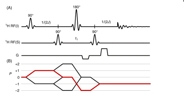 多量子滤波原理初探（Multiple Quantum Coherence Editing ） - 知乎