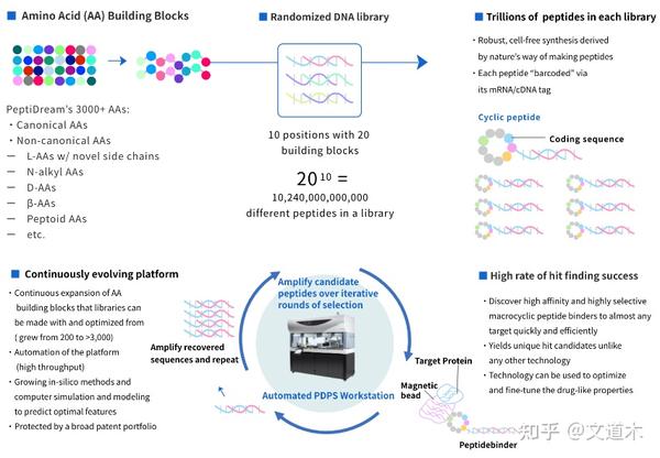 PeptiDream-mRNA展示（2） - 知乎
