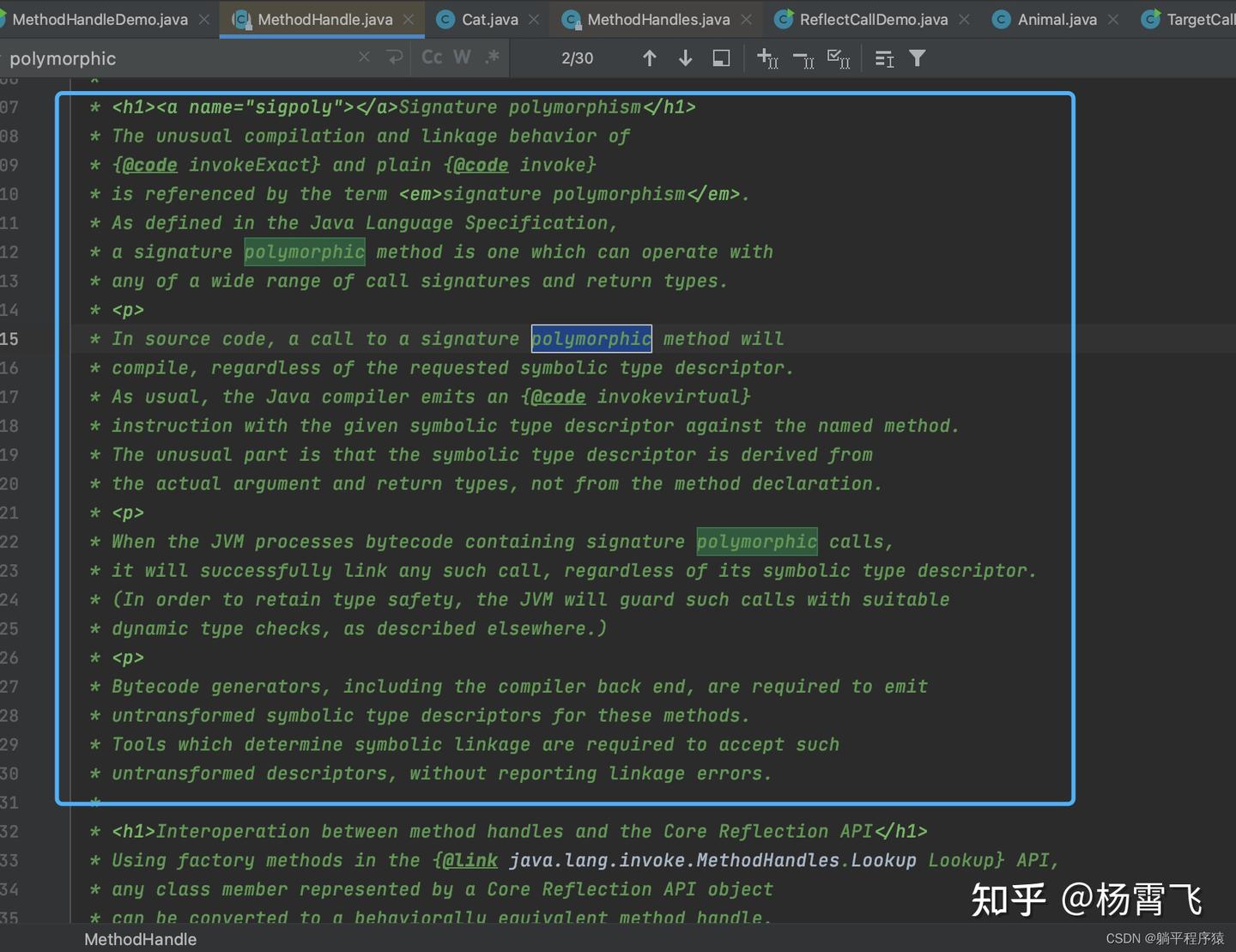 JVM角度看方法调用-MethodHandle篇 - 知乎