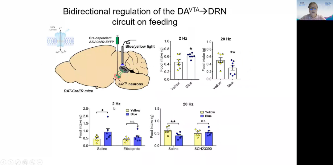 直播回顾 |「大成学堂」DA(VTA)→5-HT(DRN)神经环路调控神经厌食症 - 知乎