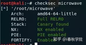 CTF必备技能丨Linux Pwn入门教程——stack canary与绕过的思路 - 知乎