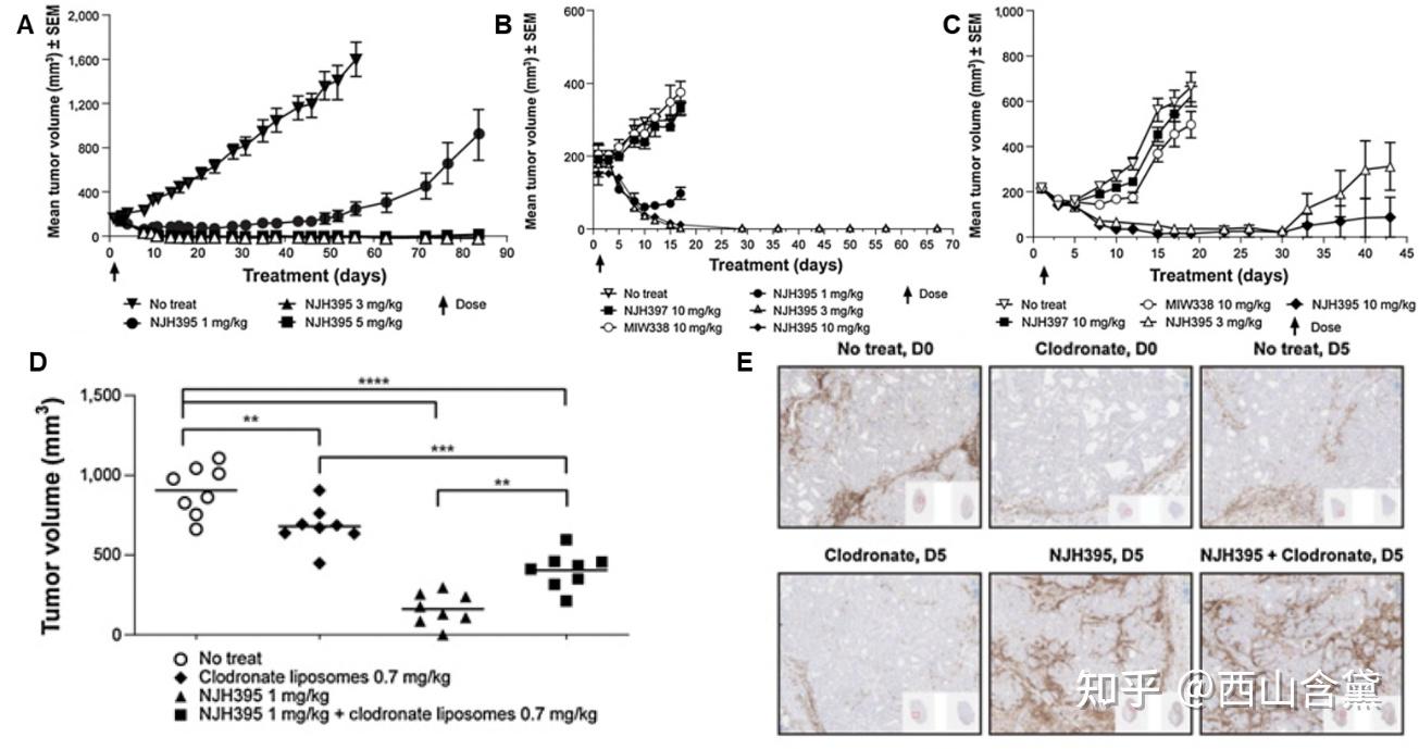 前“撤”可鉴(四)-Immune-stimulating antibody conjugate (ISAC) - 知乎