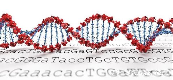 [科沿有道]微卫星标记（STR SSR）实验技术服务简介 - 知乎