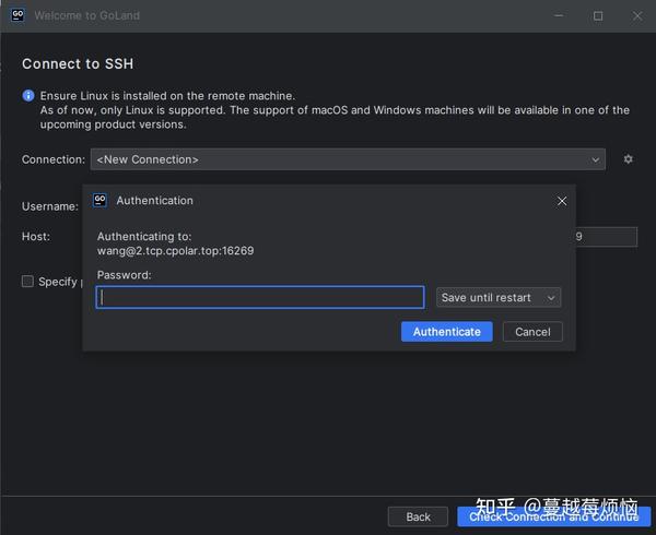GoLand远程开发IDE：使用SSH远程连接服务器进行云端编程 - 知乎