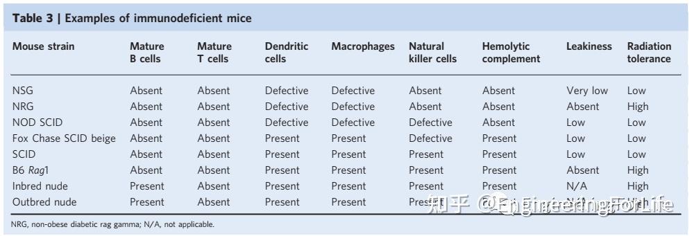 《Nature Protocols》：细胞系来源的皮下肿瘤模型在临床前癌症研究中的应用 - 知乎